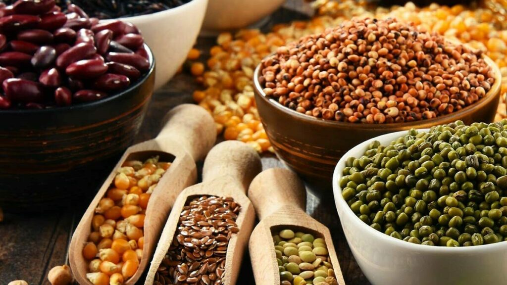 The science of plant-based meat - GFI India